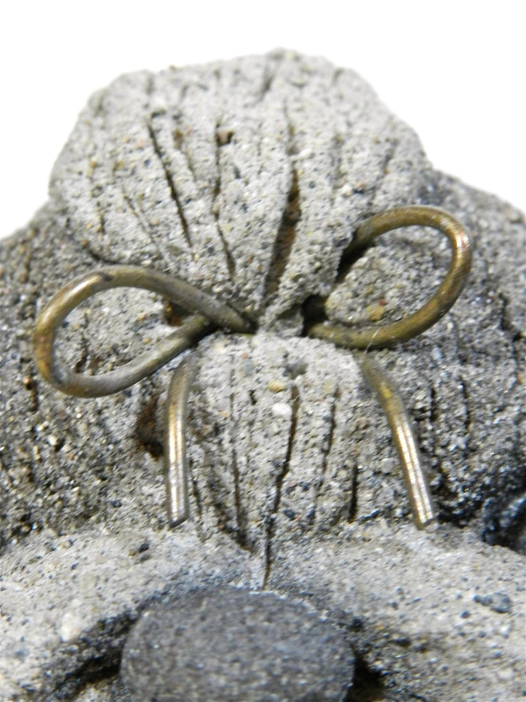 Lou Rankin Dog Sculpture Concrete Cement Signed 1994 – Shop-Uniques ...